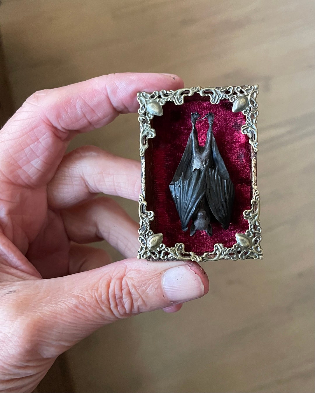 Bat in Frame Miniature Collection Museum Oddities Curiosities Framed ...