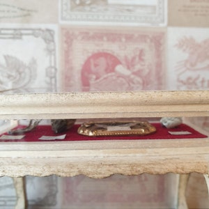 DIY Miniature Cabinet of Curiosities KIT - Oddities Museum Collection ...