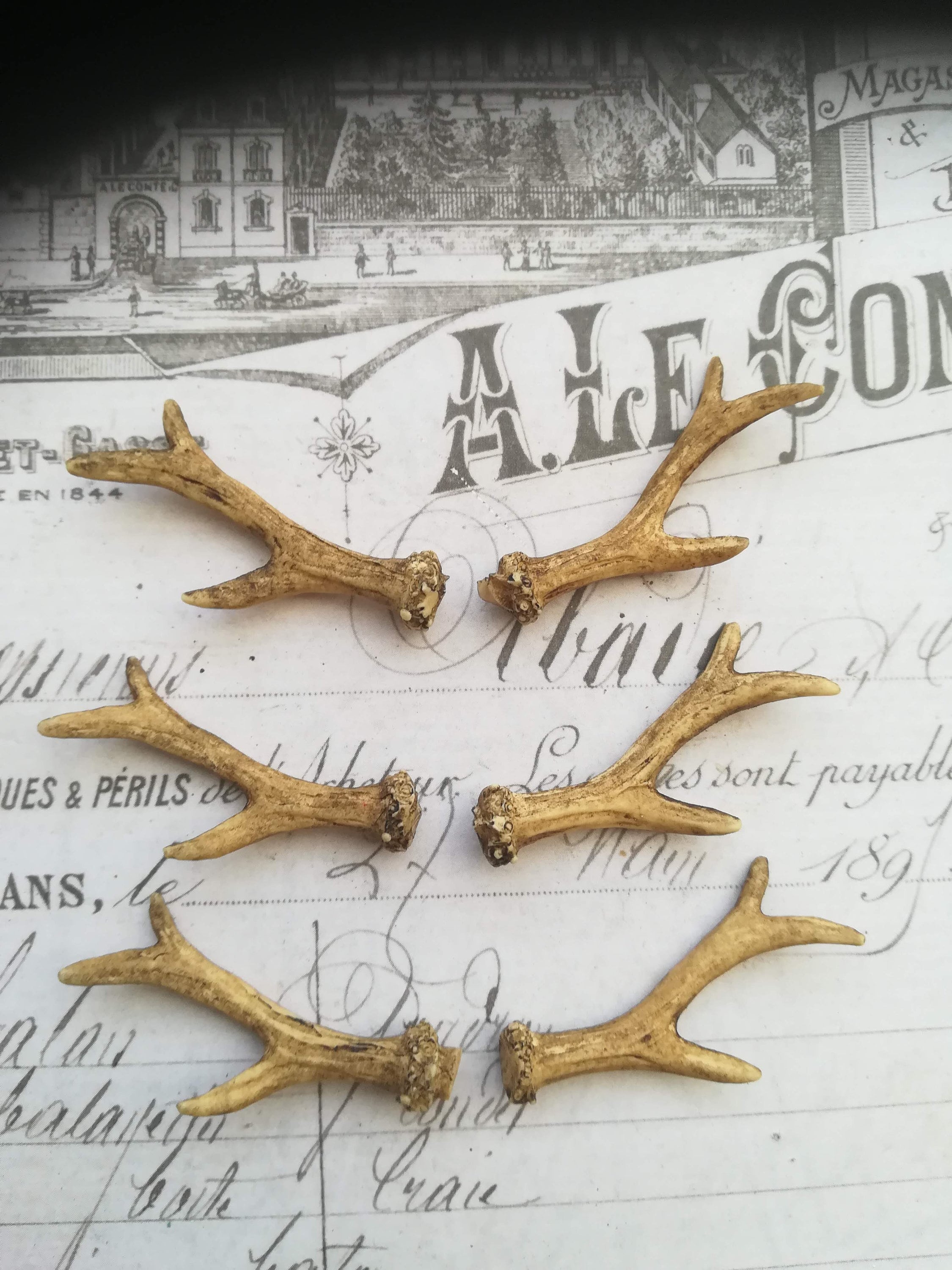 Miniature Deer Antlers Miniature Antler for Dollhouse Museum | Etsy