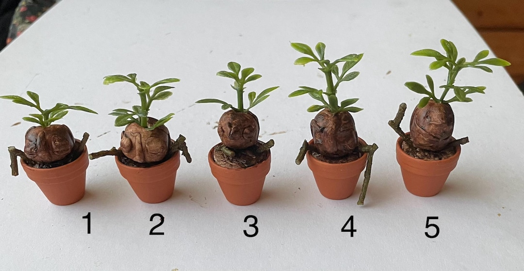 Miniature Mandrake Root Plant – Handmade Clay Pot, Halloween Decor - Etsy