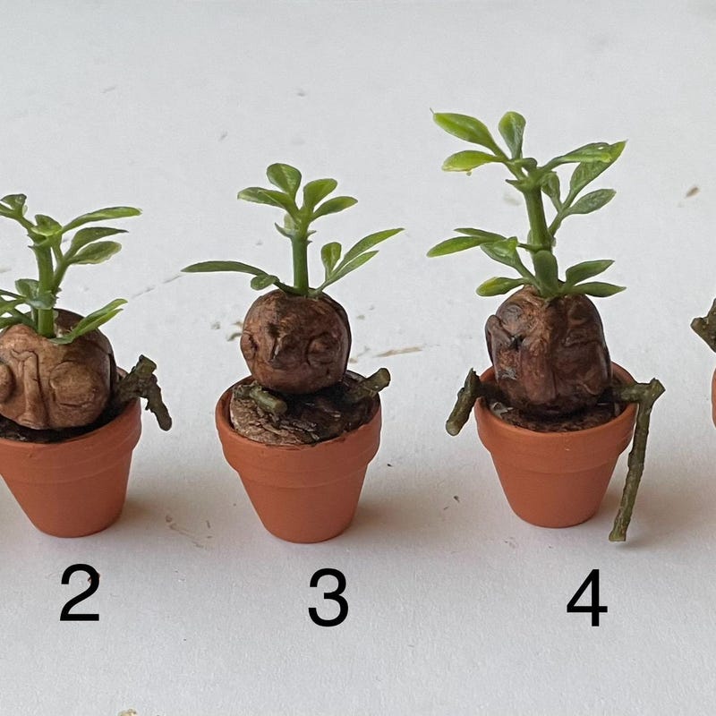 Mandrake Doll - Etsy