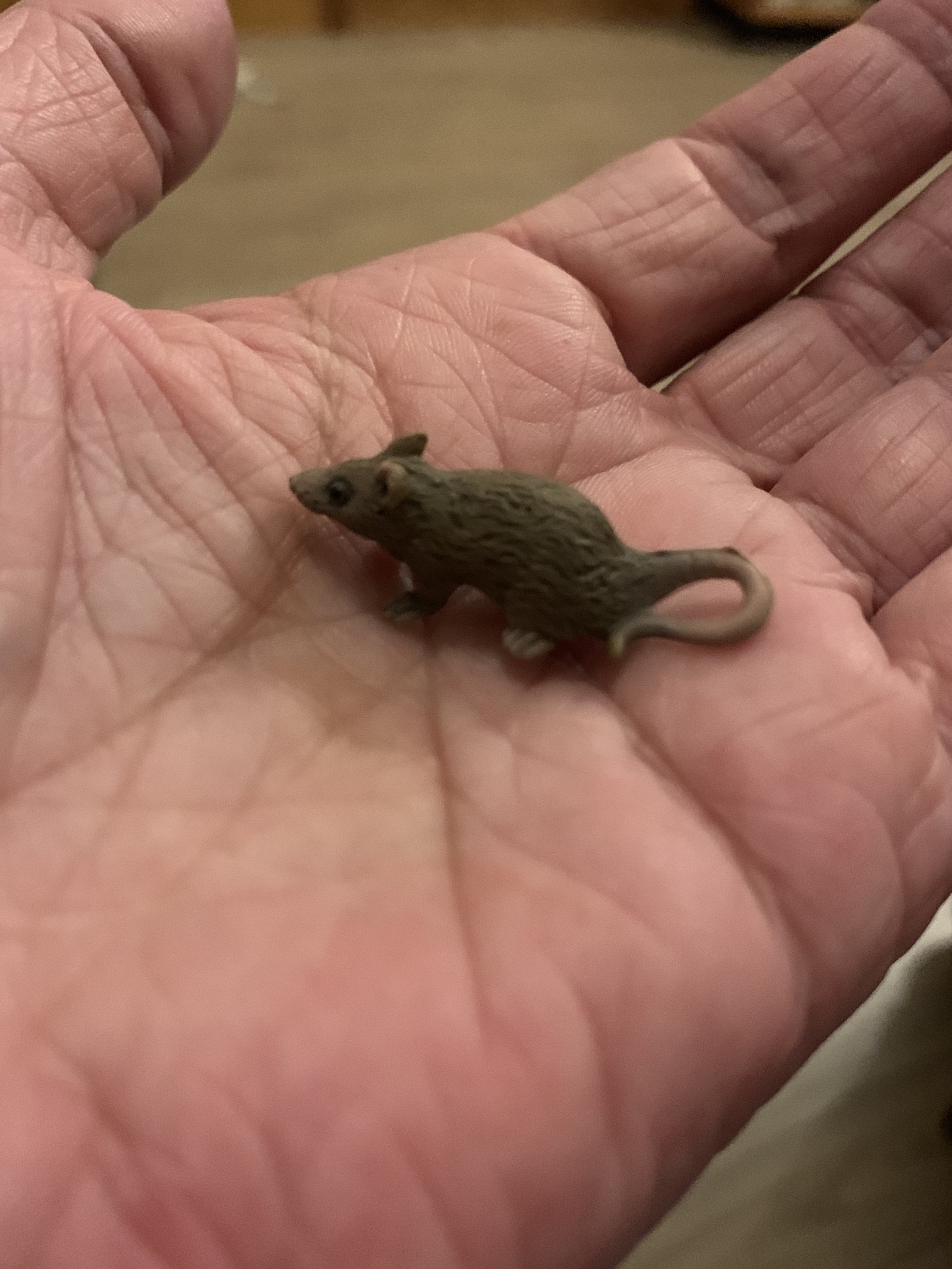 Rat Dollhouse Mouse 1:6 miniature Diorama - Etsy