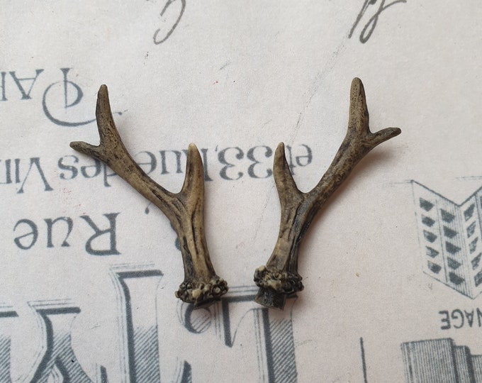 Miniature Deer Antlers - Miniature Antler for Dollhouse Museum ...