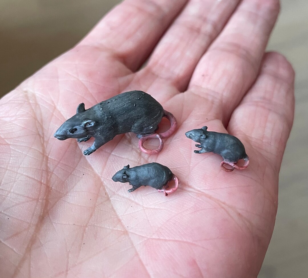 Rat Dollhouse - Mouse 1:6 -miniature Diorama-1 Big and 2 Little - Etsy