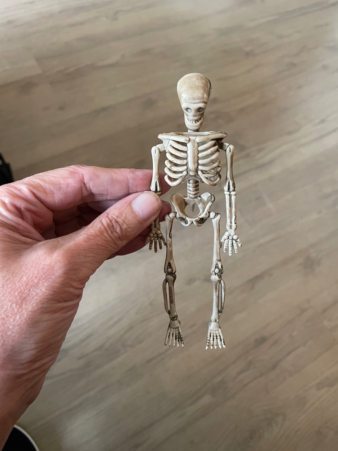 Skeleton 1:12 - Etsy