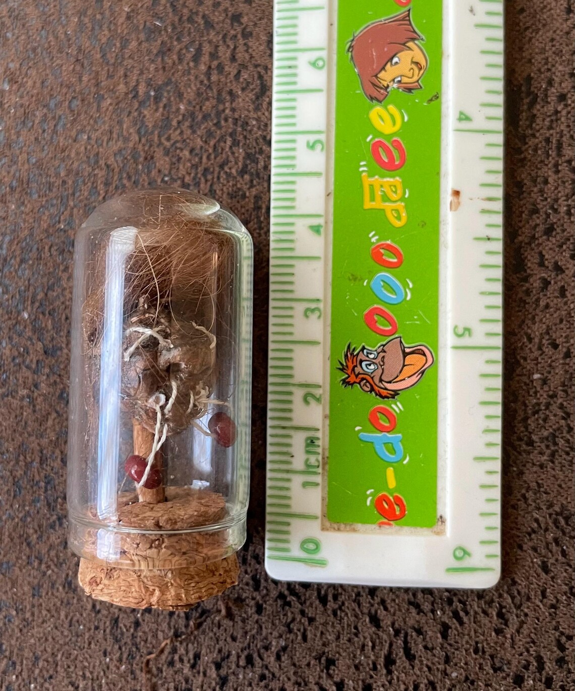 Miniature Shrunken Head in Glass Dome - Etsy