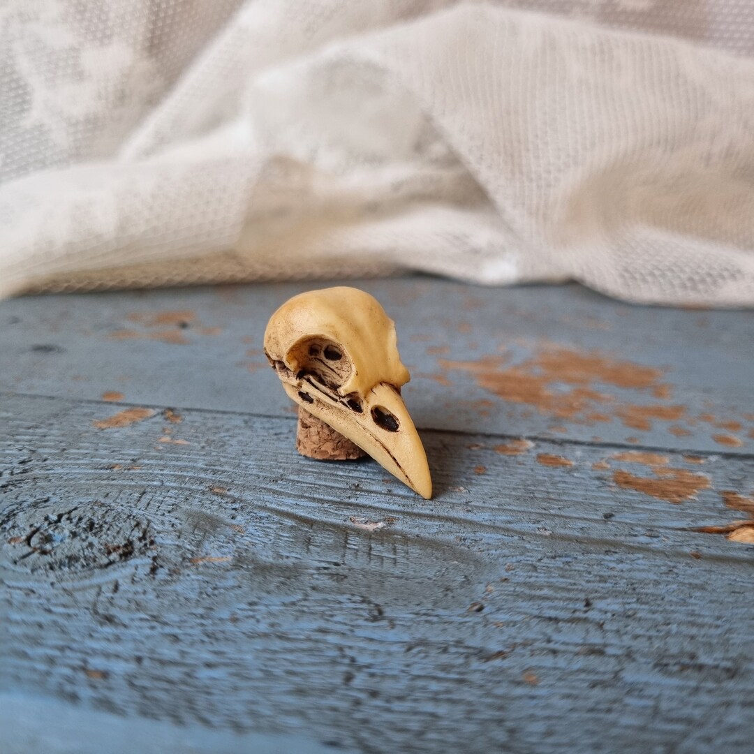Aged Resin Bird Skull on Cork Pedestal: Gothic Dollhouse Decor (35x16mm ...