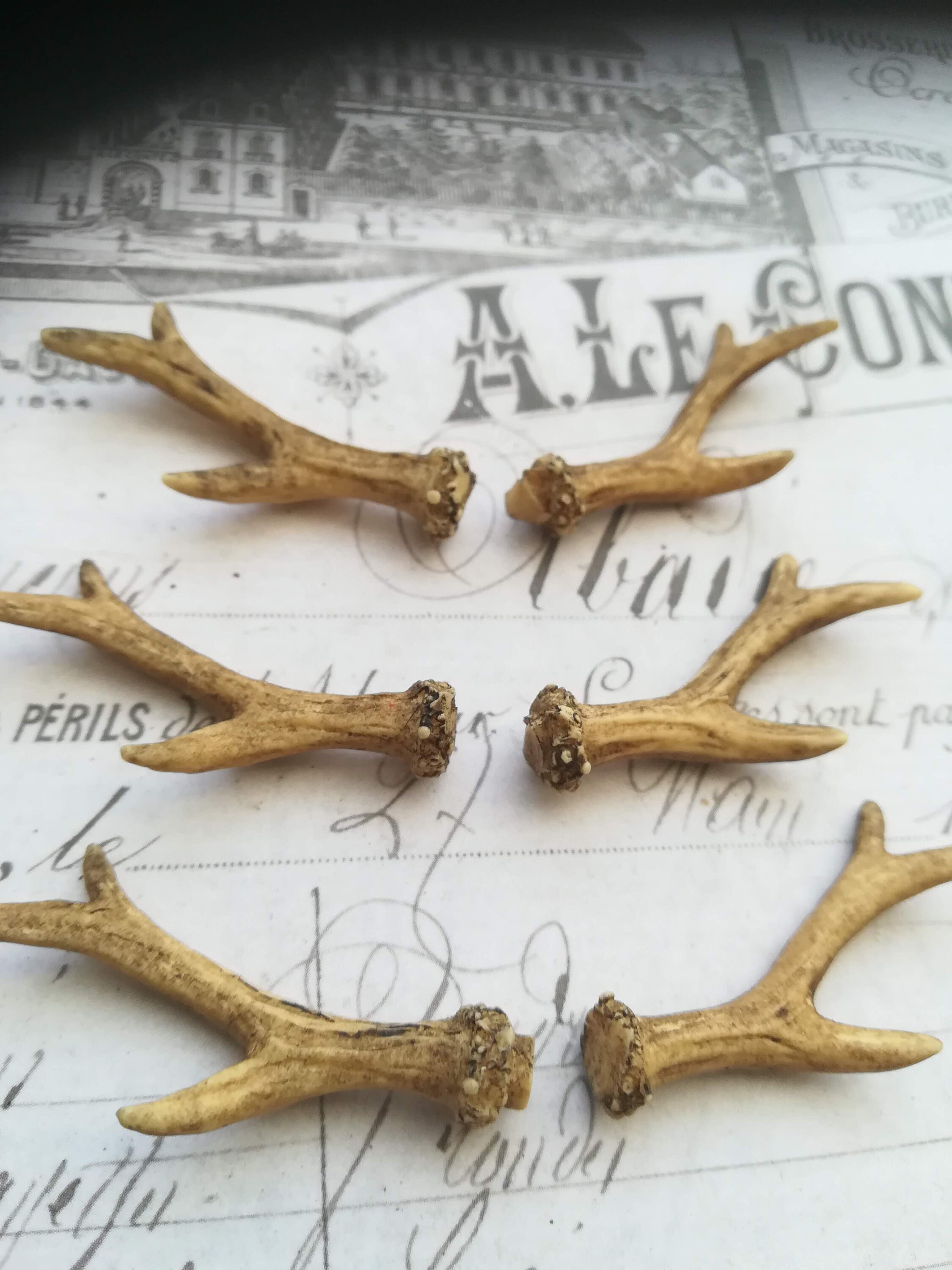 Miniature Deer Antlers Miniature Antler for Dollhouse Museum | Etsy