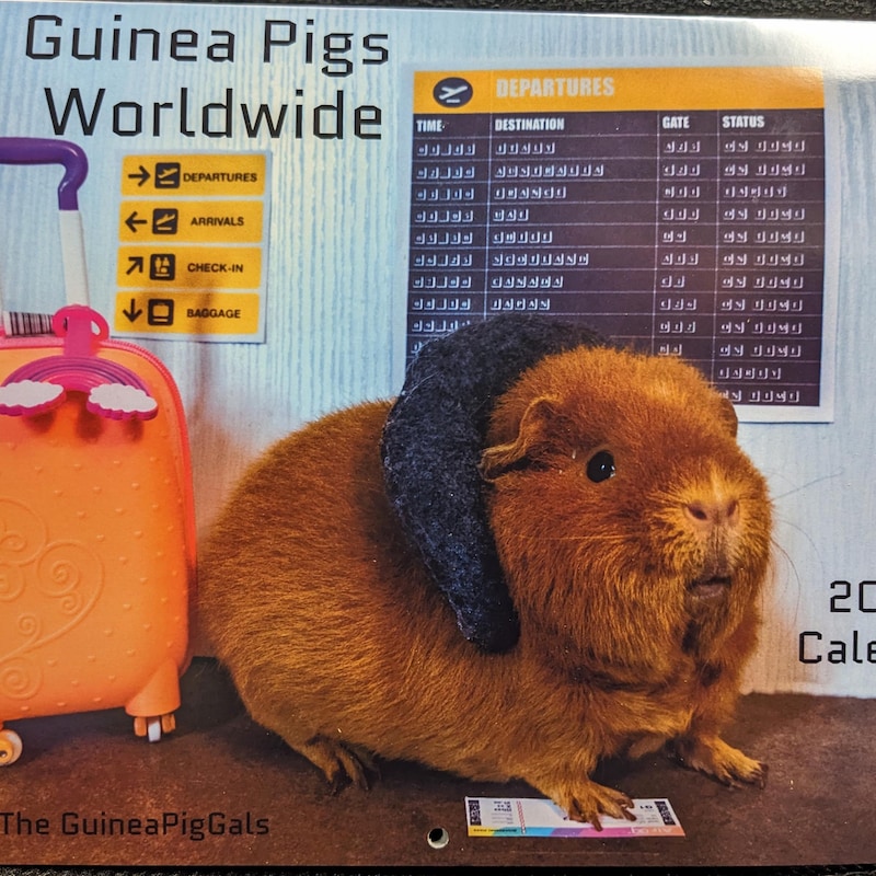 Pig Motivational Gifts - 60+ Gift Ideas for 2026