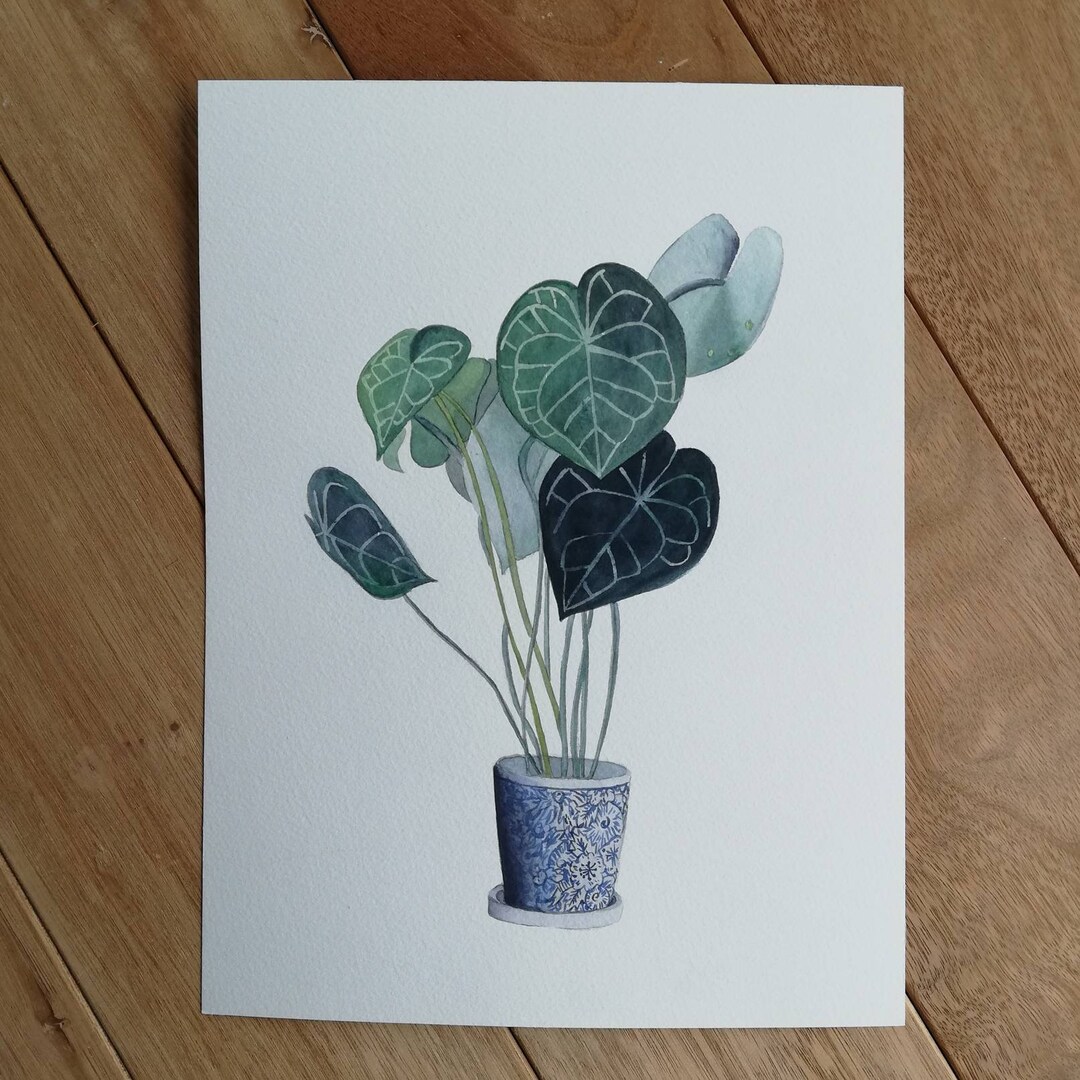 Plant Watercolor Painting, Original Watercolor Art, Original Aquarel ...