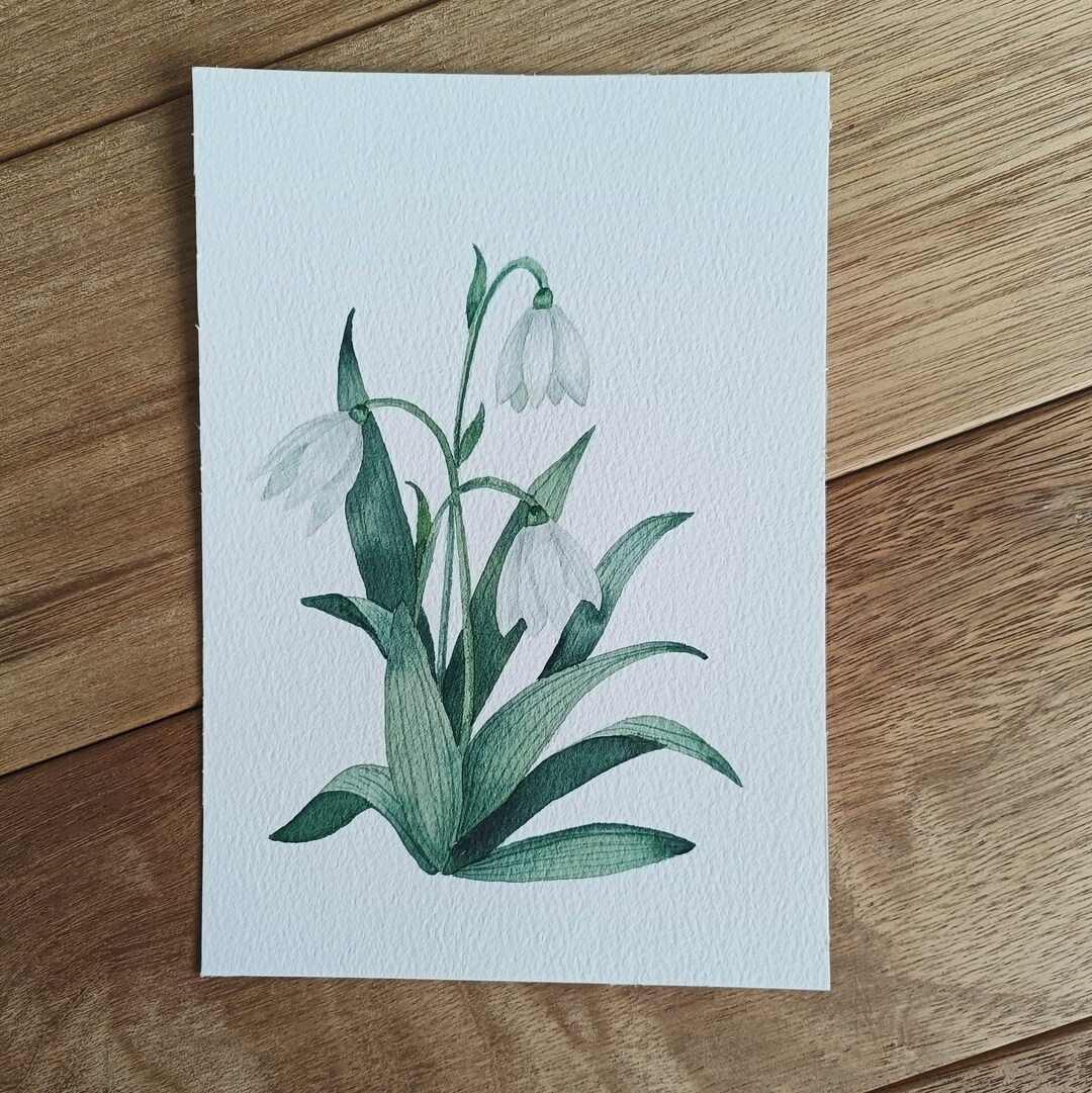 Snowdrop Watercolor Painting, Original Watercolor Art, Original Aquarel ...