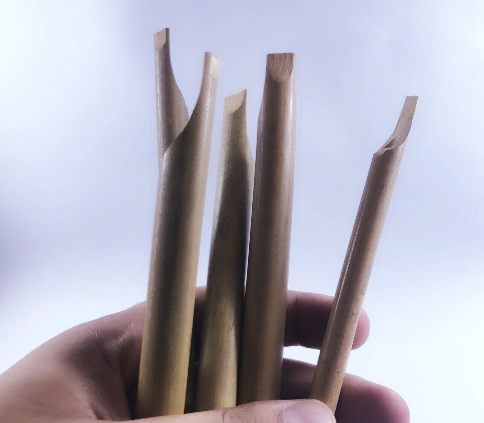 Set of 5 Bamboo Reed Pens Qalam for Arabic Calligraphy Classic | Etsy