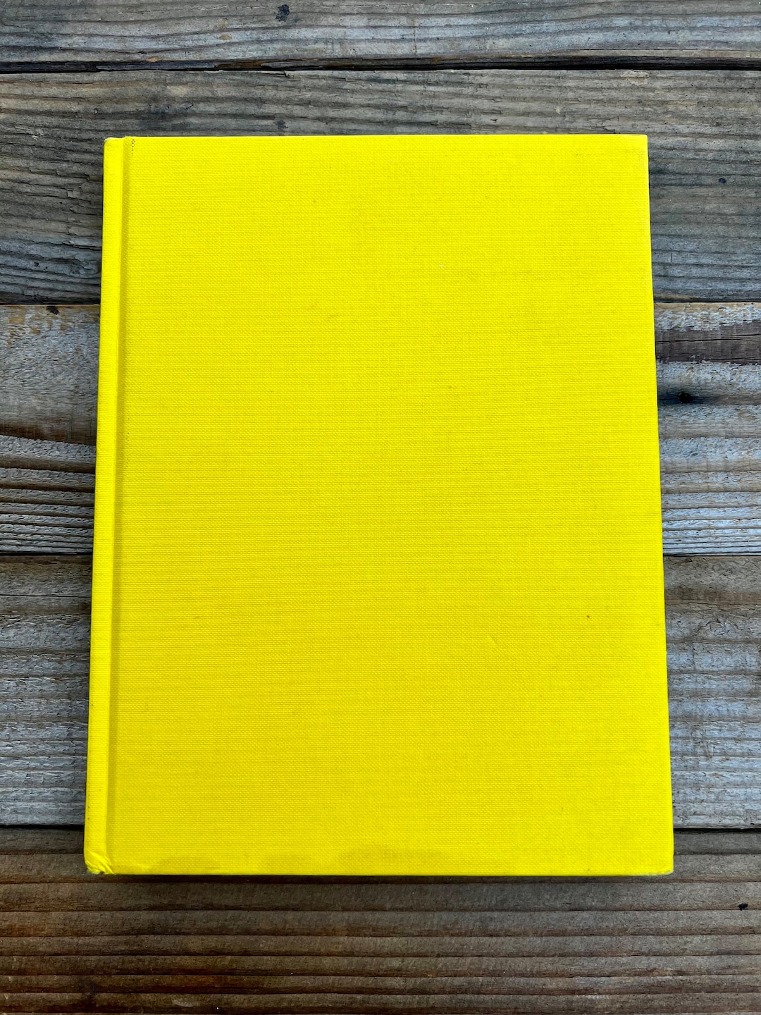 A Plantsman's Guide to Fuchsias by Leo Boullemier, Published by Ward ...