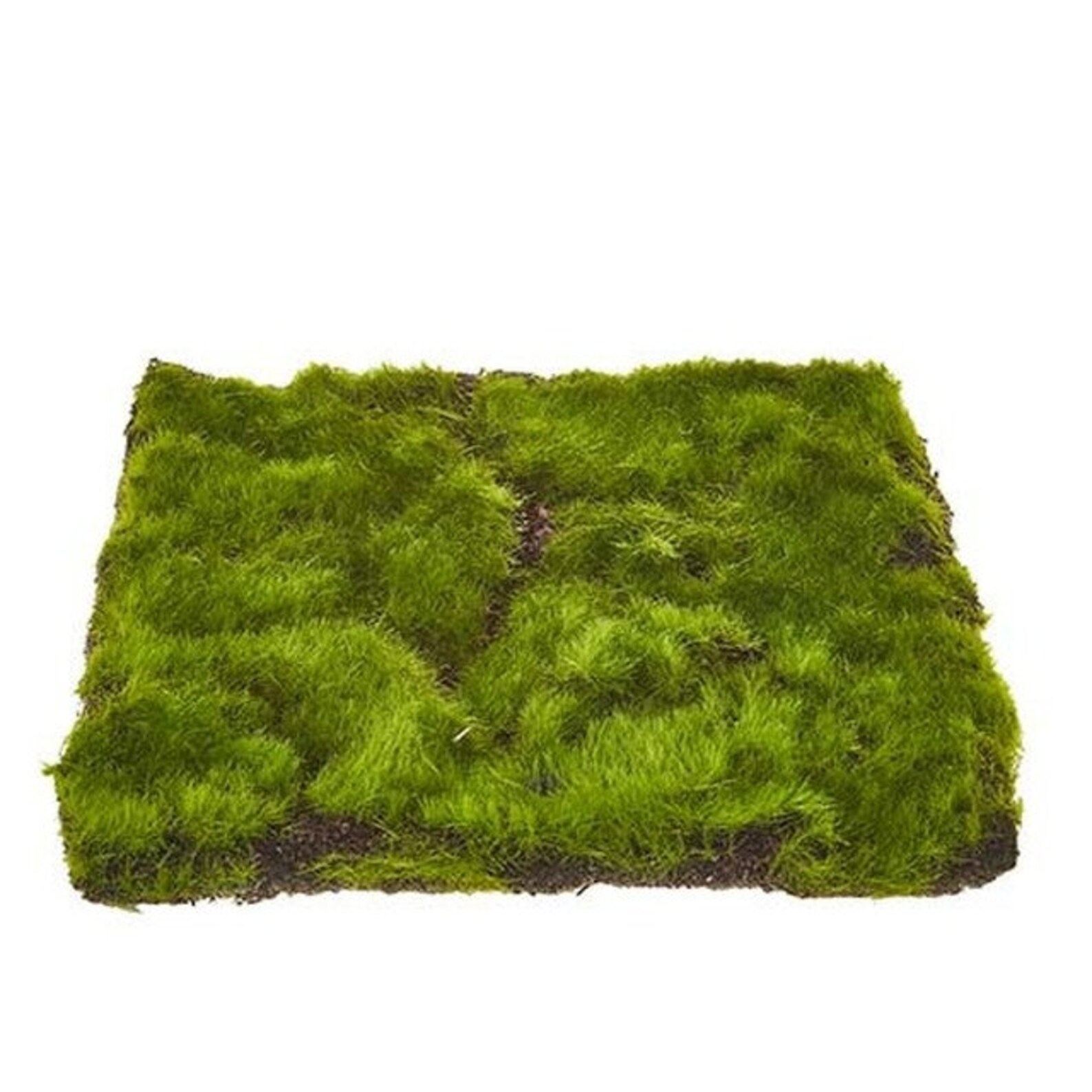 Sheet of Moss Decoration - Etsy