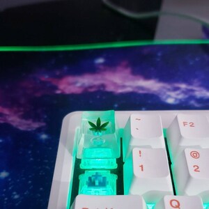 Canna Leaf Keycap - Etsy