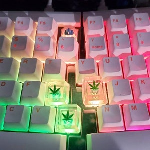Canna Leaf Keycap - Etsy