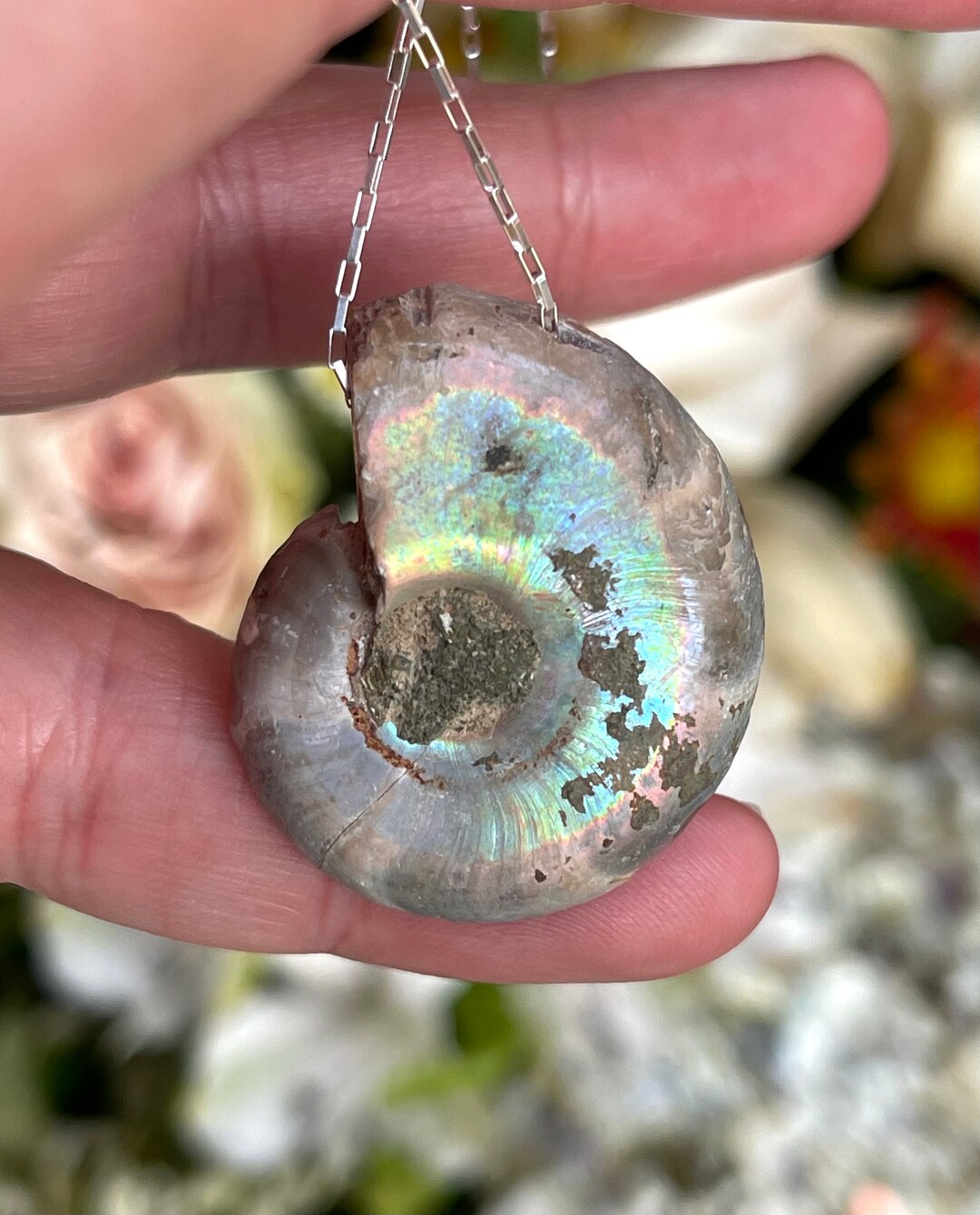 Ammonite, Pendant, Necklace, in Sterling Silver, Ammonite Fossil ...