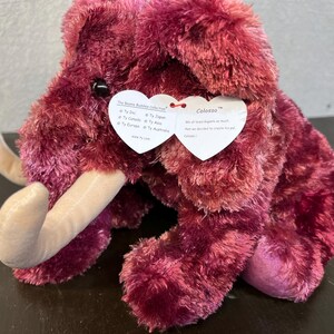 Vintage Ty Beanie Buddies Bear Choose From Charmer, Colosso or Trotter ...