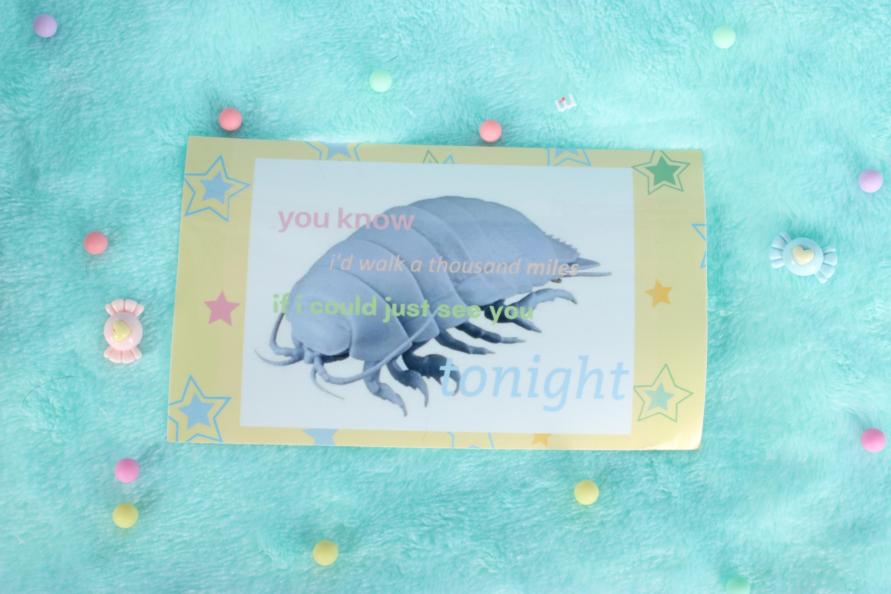 Kawaii Stickers Goblincore Weirdcore Art Gift Cursed Item Isopod - Etsy