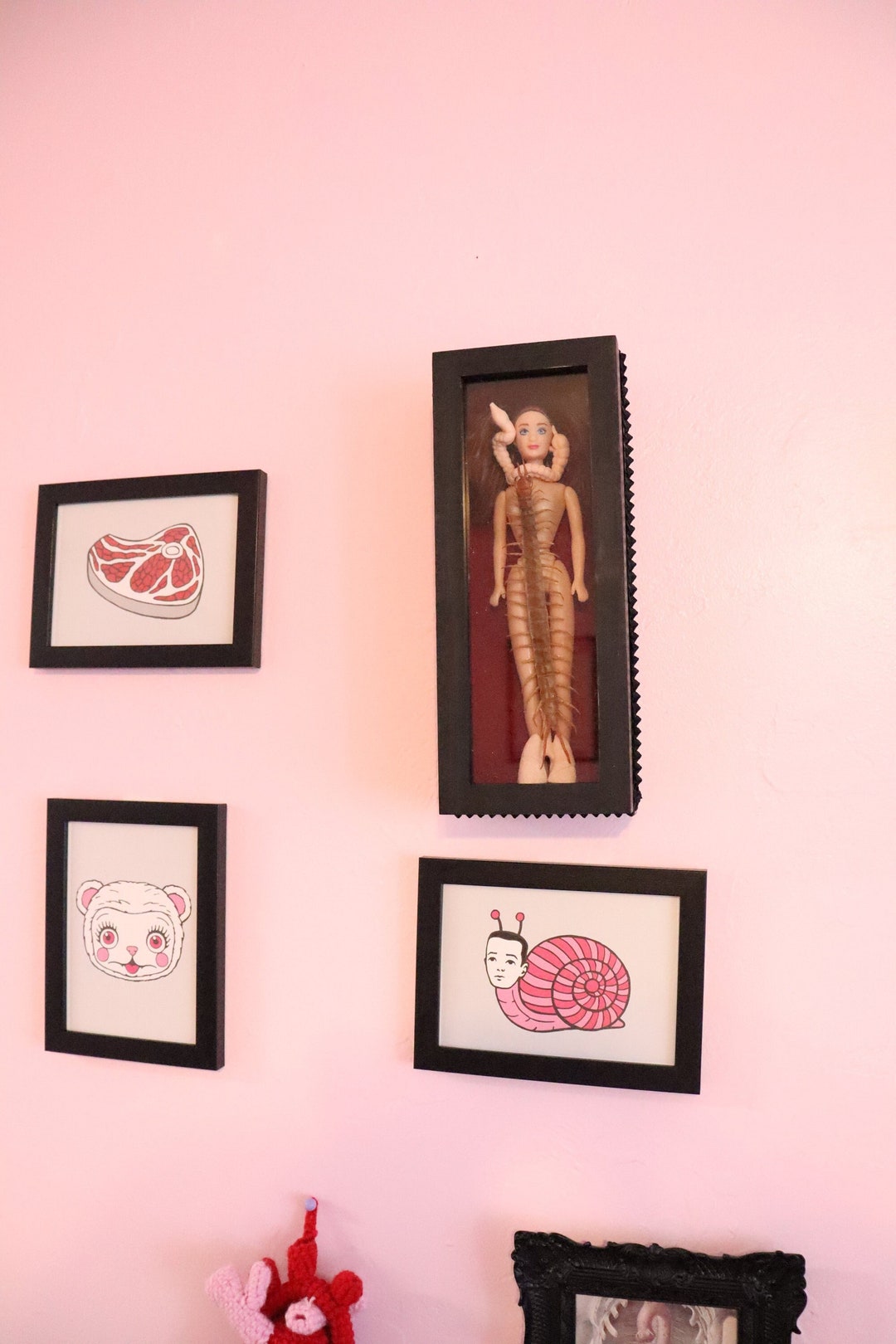 Real Framed Centipede Shadow Box Art Insect Frame Taxidermy Doll Black ...