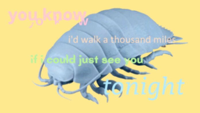 Decora Kei Clothes Cursed Shirt Party Kei Clown Core Shirt Isopod Shirt ...