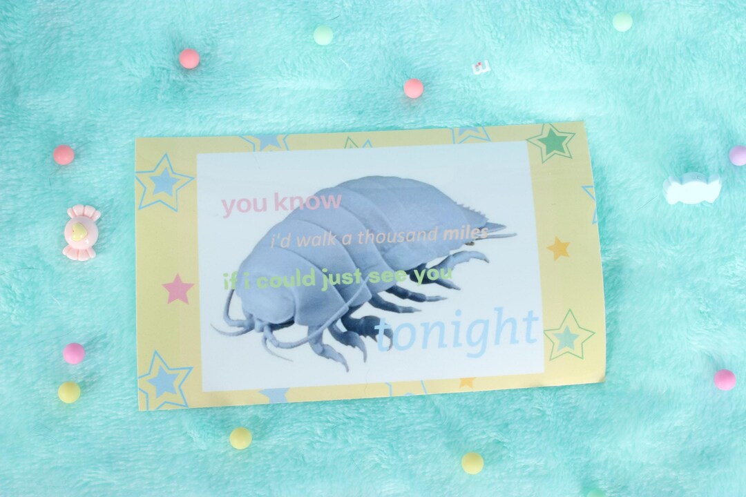 Kawaii Stickers Goblincore Weirdcore Art Gift Cursed Item Isopod - Etsy