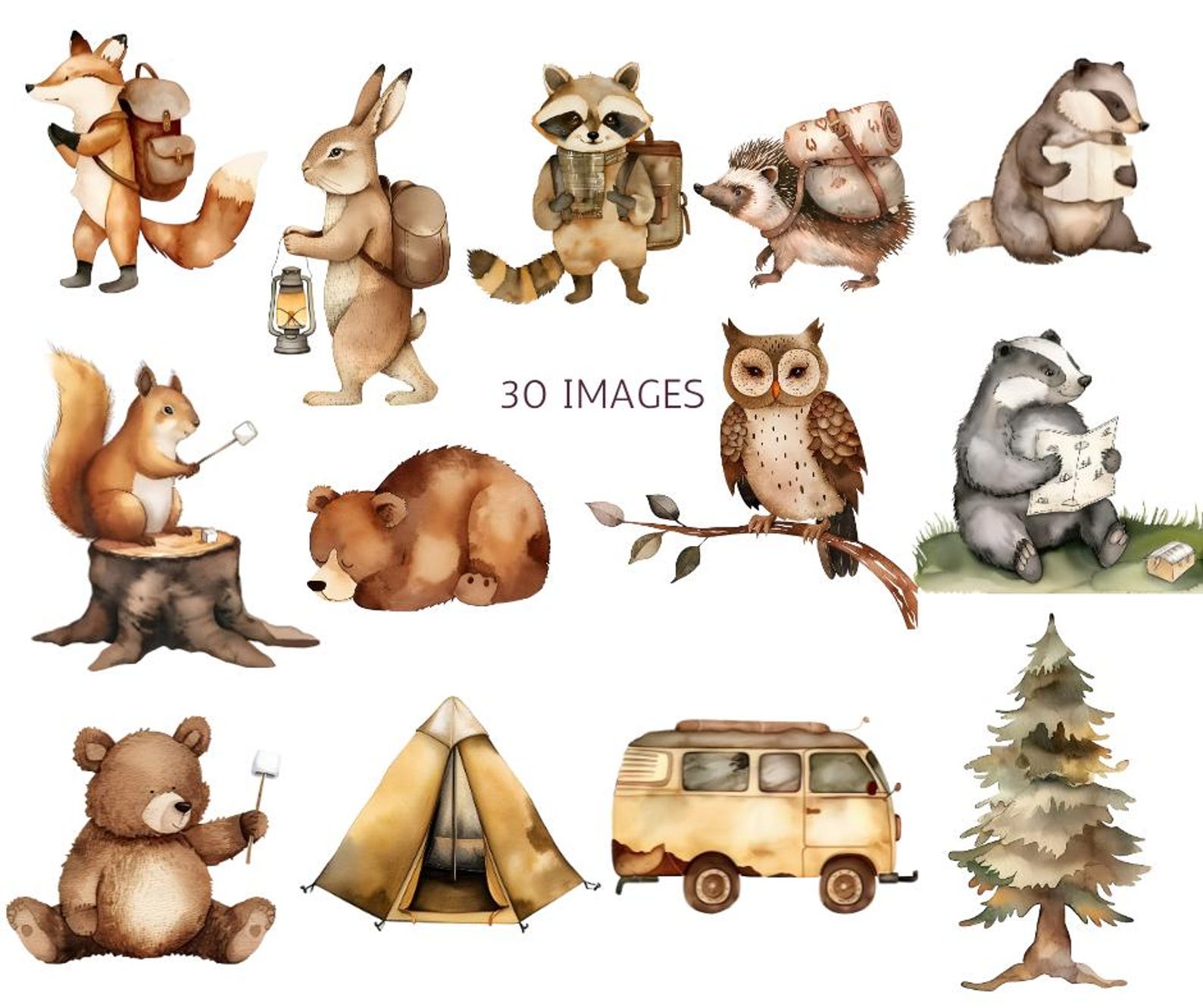 Watercolor Camping Animals Clipart | Forest Bear & Fox PNG | Woodland ...