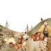 Watercolor Camping Animals Clipart | Forest Bear & Fox PNG | Woodland ...