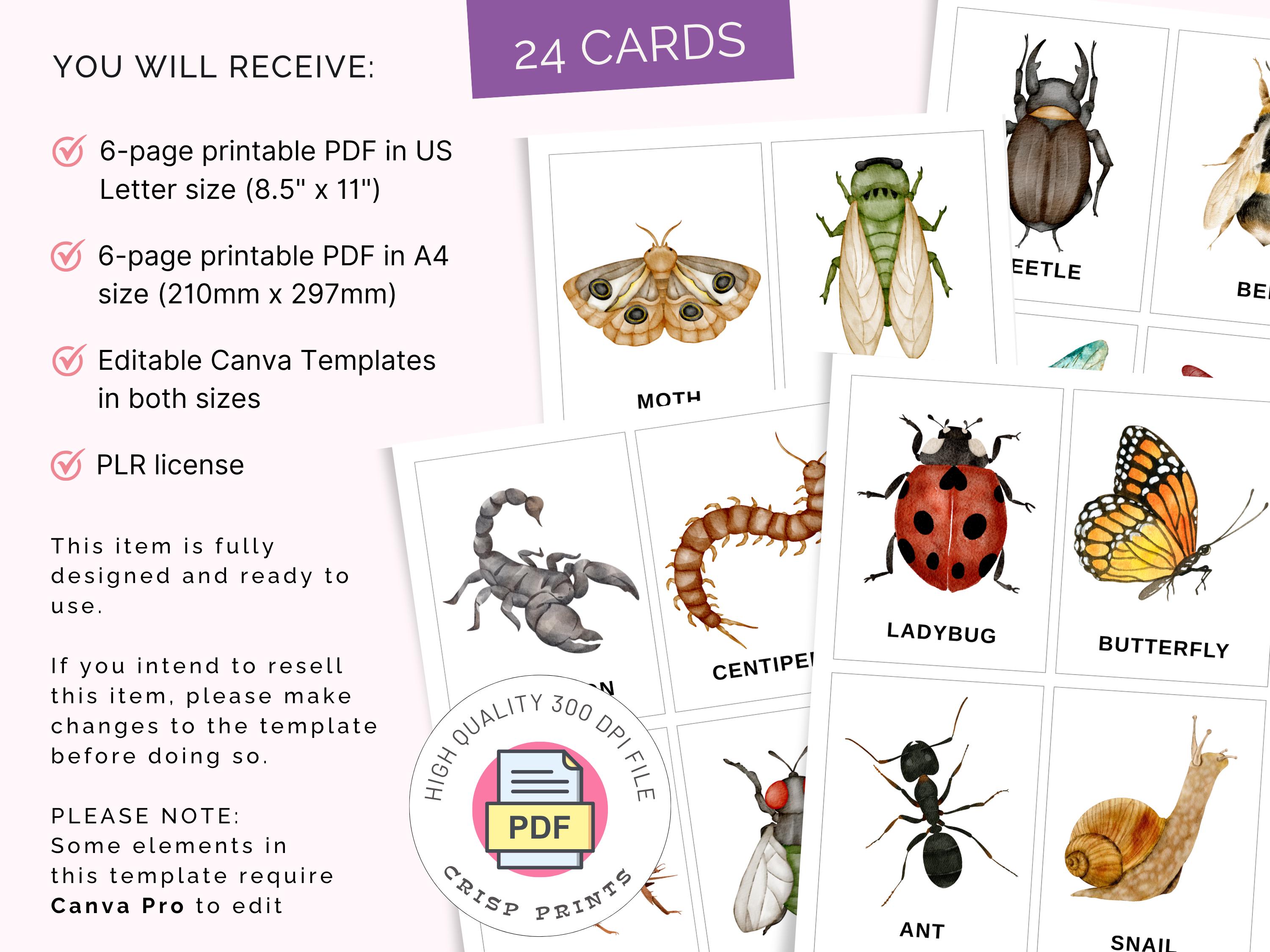 Insects Flashcards, Montessori, Insect Activities, Preschool ...