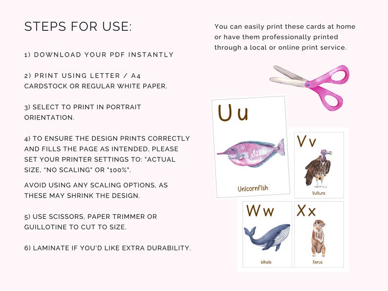Animal Alphabet Cards, ABC Flashcards, Montessori Materials ...