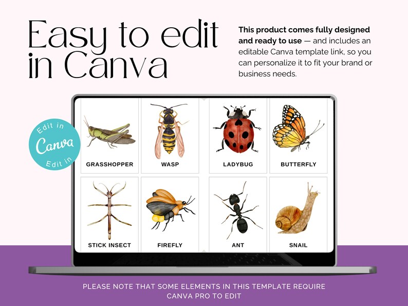 Insects Flashcards, Montessori, Insect Activities, Preschool ...