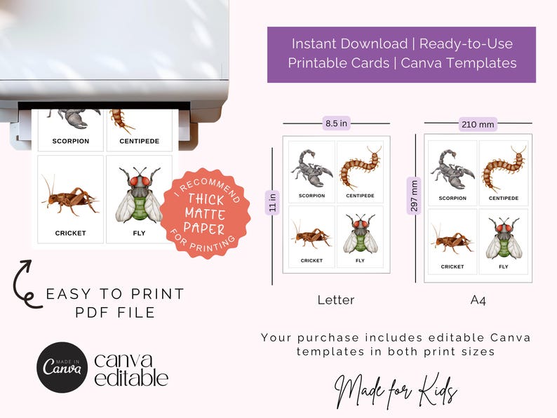 Insects Flashcards, Montessori, Insect Activities, Preschool ...