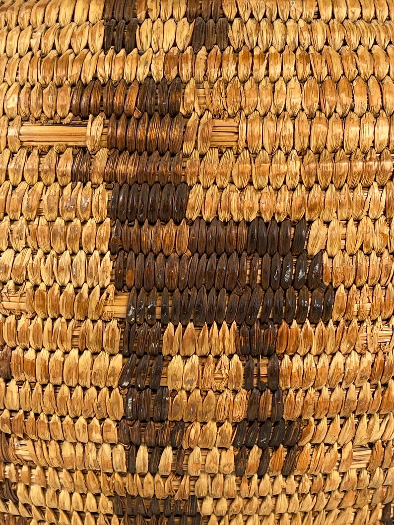 Rare Native American Apache Storage Basket Zoo/anthropomorphic Decor ...