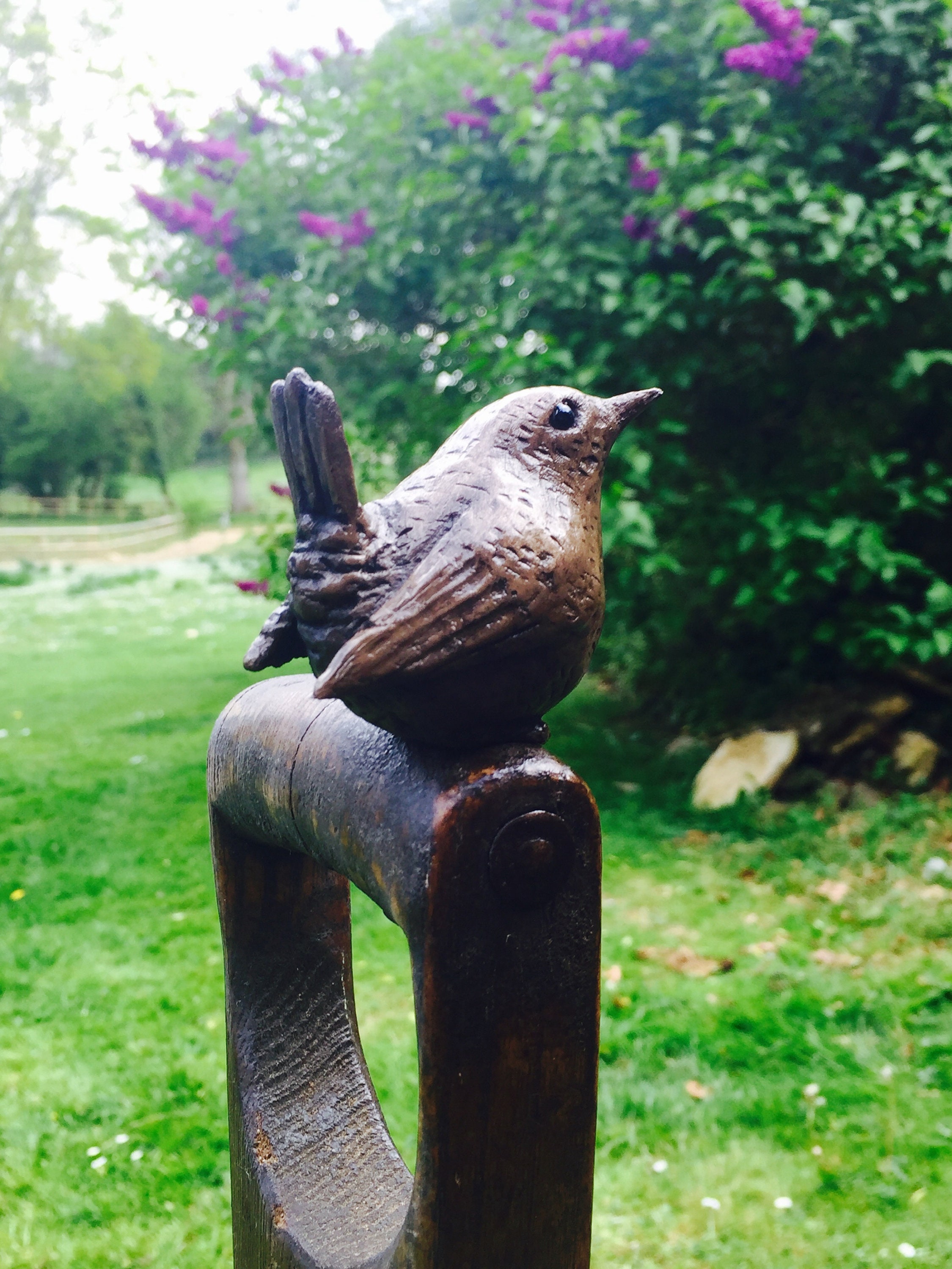 Wren on Vintage Tool - Etsy