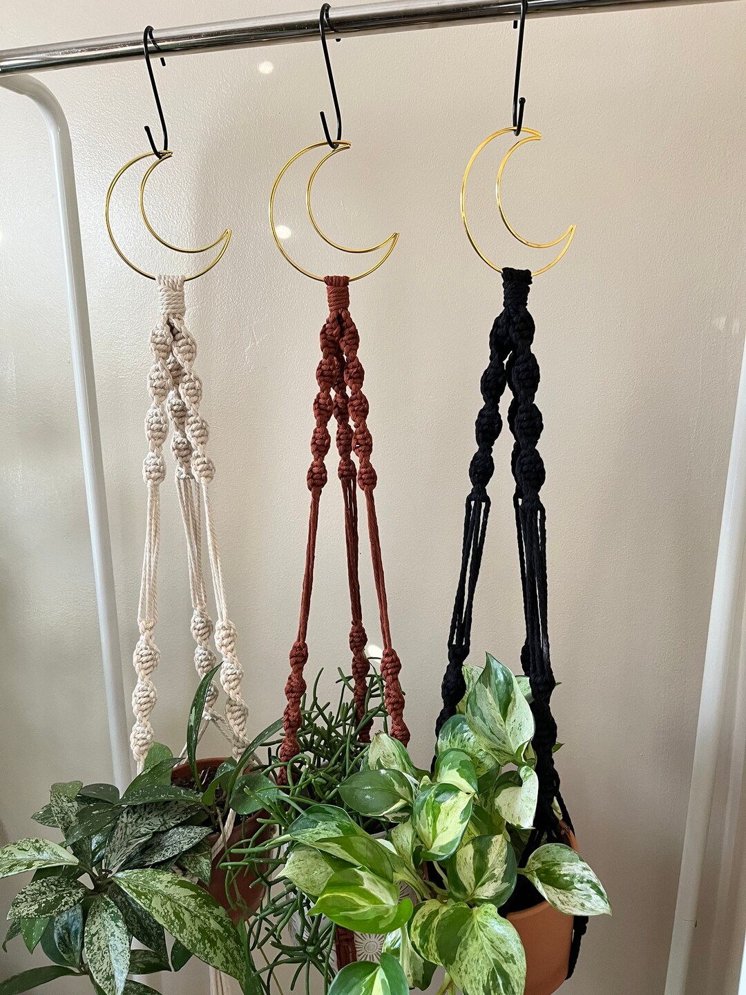 Lunar Plant Hanger - Etsy