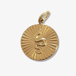 Gold Snake Medallion Necklace Pendant, Serpent Coin Stainless Steel ...