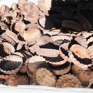 Rusty Bottle Caps, Rusty Parts, Metal Rusty Bottle Caps, Awesome Rusty ...