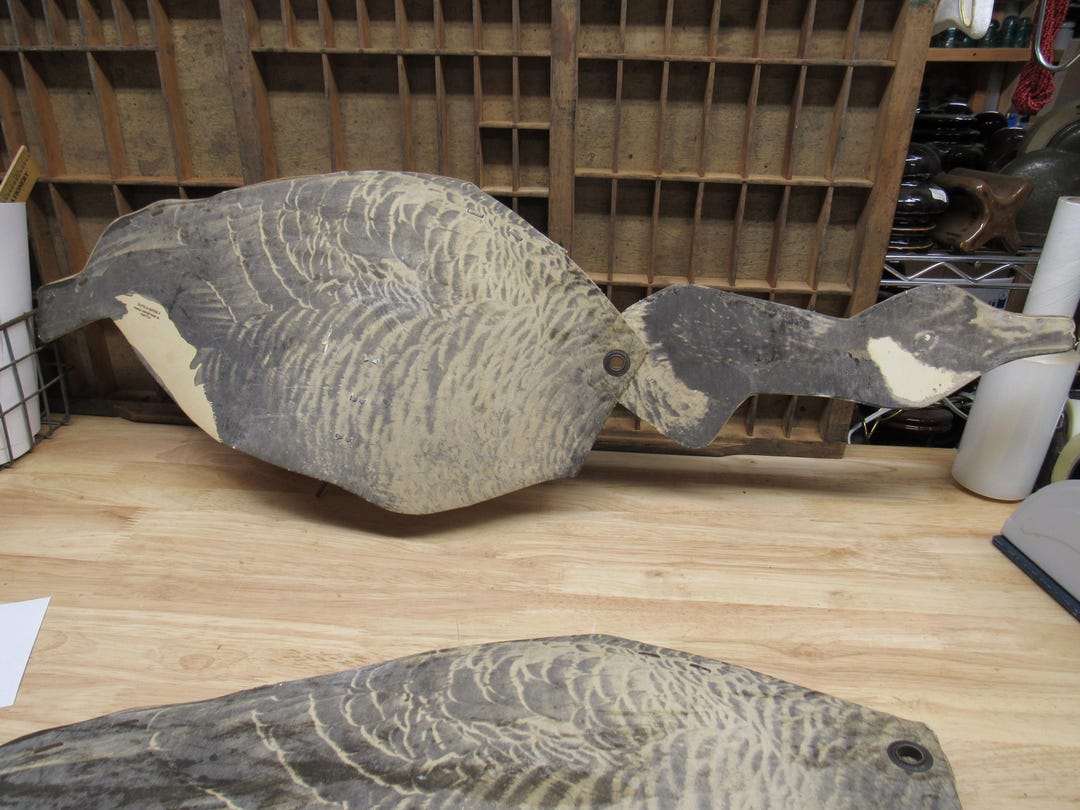 Dupe A Goose, Cardboard Folding Goose Decoy, Dupe A Goose F, Dunster ...