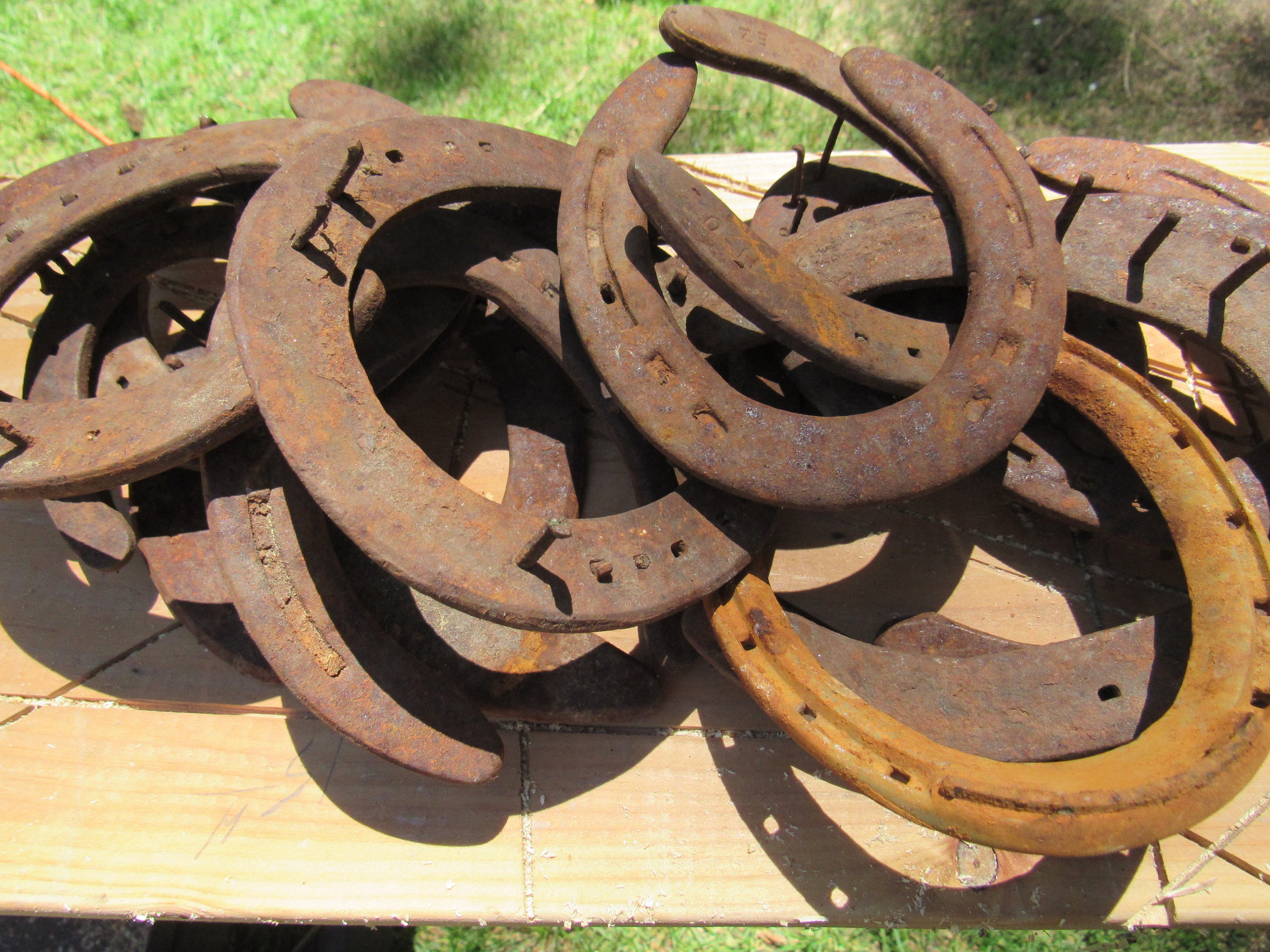 Rusty Horseshoes, 6 Metal Horse Shoes, Rusty Metal Horseshoes - Etsy