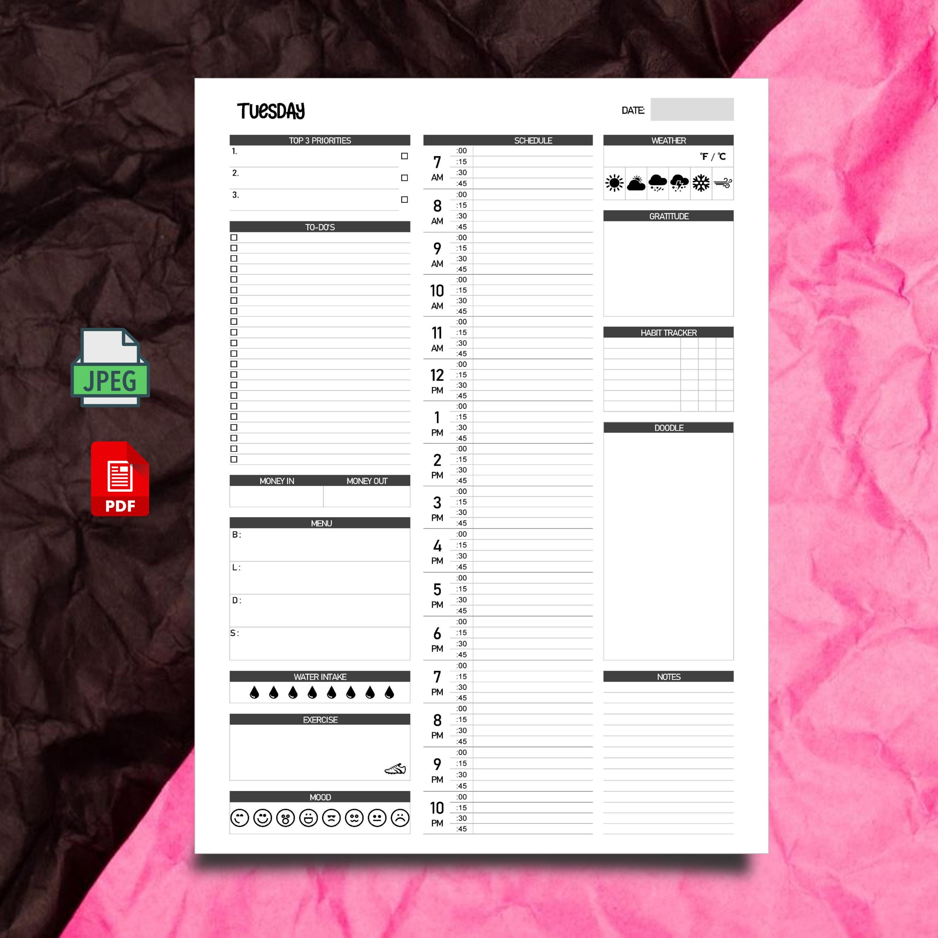 Detailed Daily Planner: Printable Schedule, Tracker, and Log (PDF ...