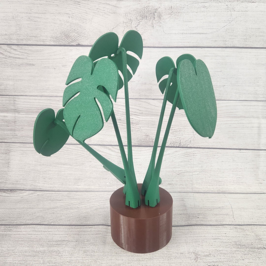 Monstera Plant - Coaster Set - 3D Printed - Leaves Attached With ...