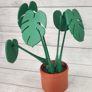 Monstera Plant - Coaster Set - 3D Printed - Leaves Attached With ...