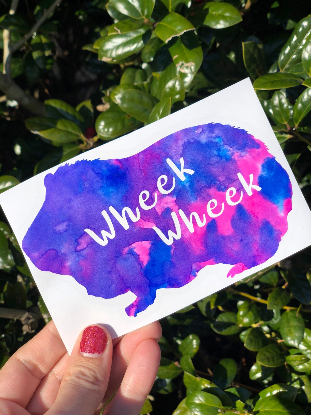 Guinea Pig Decal. Wheek Wheek. - Etsy
