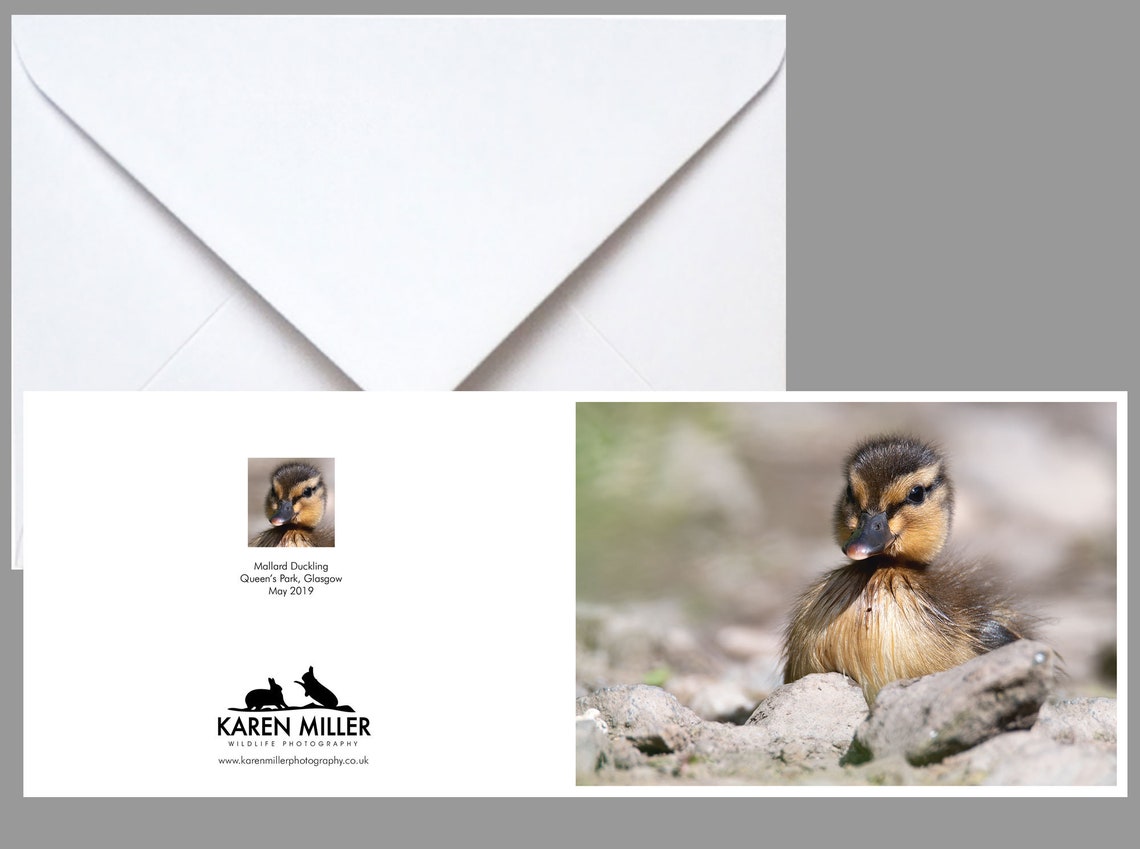 Duckling Greeting Card, Duck Greeting Card, Baby Bird Greeting Card ...