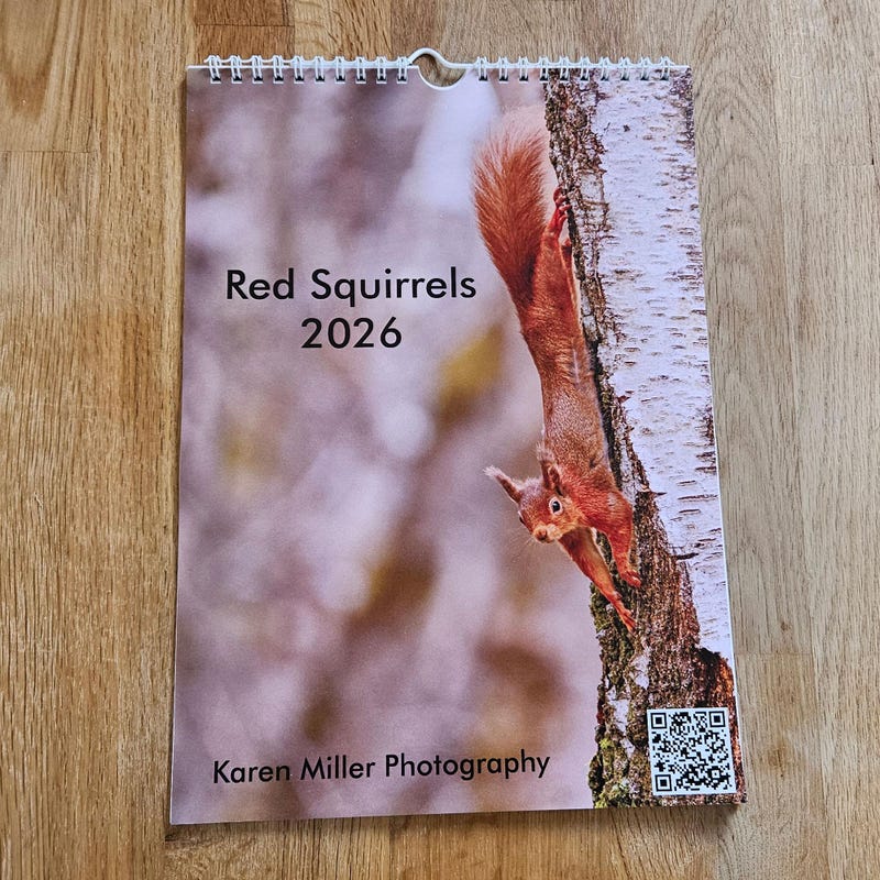2026 Advent Calendars - Etsy UK