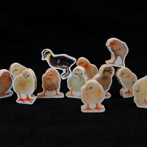 Stacking Chicks Playset. 12 Baby Chicken Wooden Toys. Hand Cut ...