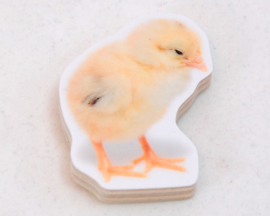 Chick Magnets 5 Magnet Set. Hand-cut Wooden Fridge Magnets. | Etsy