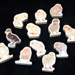 Stacking Chicks Playset. 12 Baby Chicken Wooden Toys. Hand Cut ...