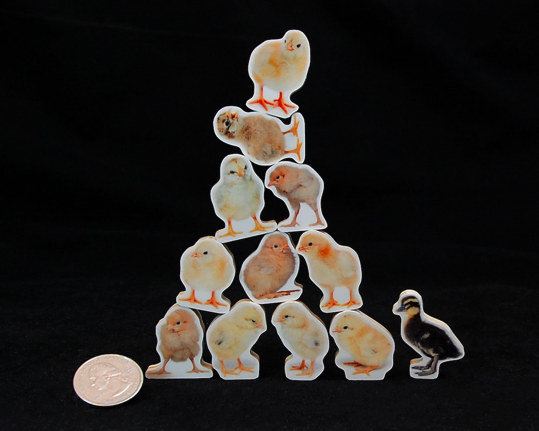Stacking Chicks Playset. 12 Baby Chicken Wooden Toys. Hand Cut ...