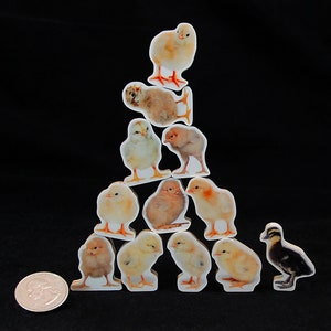 Stacking Chicks Playset. 12 Baby Chicken Wooden Toys. Hand Cut ...